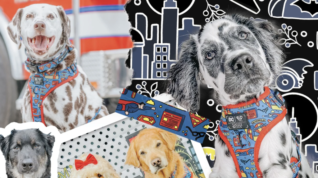 DC Collaborate With Sassy Woof For Dog Accessories Collection - The ...